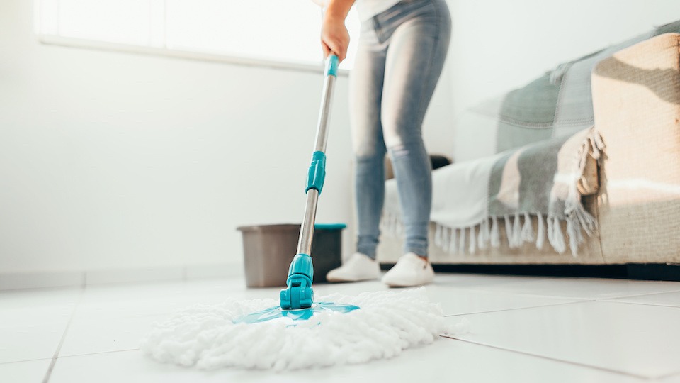 14 Steps To Deep Clean Your House Naturally - Backyard Garden