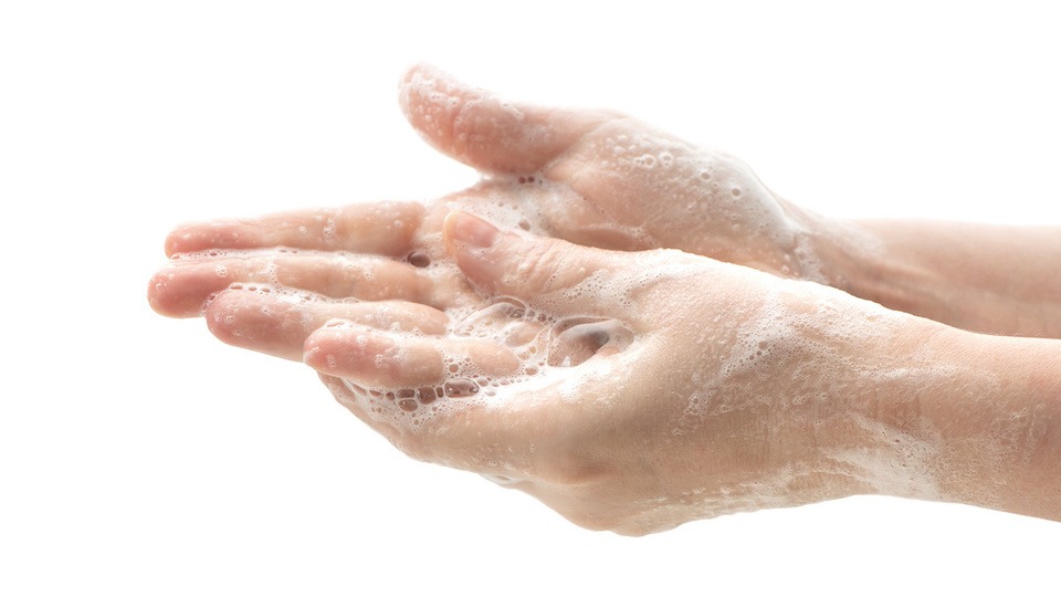 The Ultimate Guide to Hand Washing, Drying and Disinfecting - Backyard ...